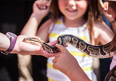 Home • Zoo de Jurques