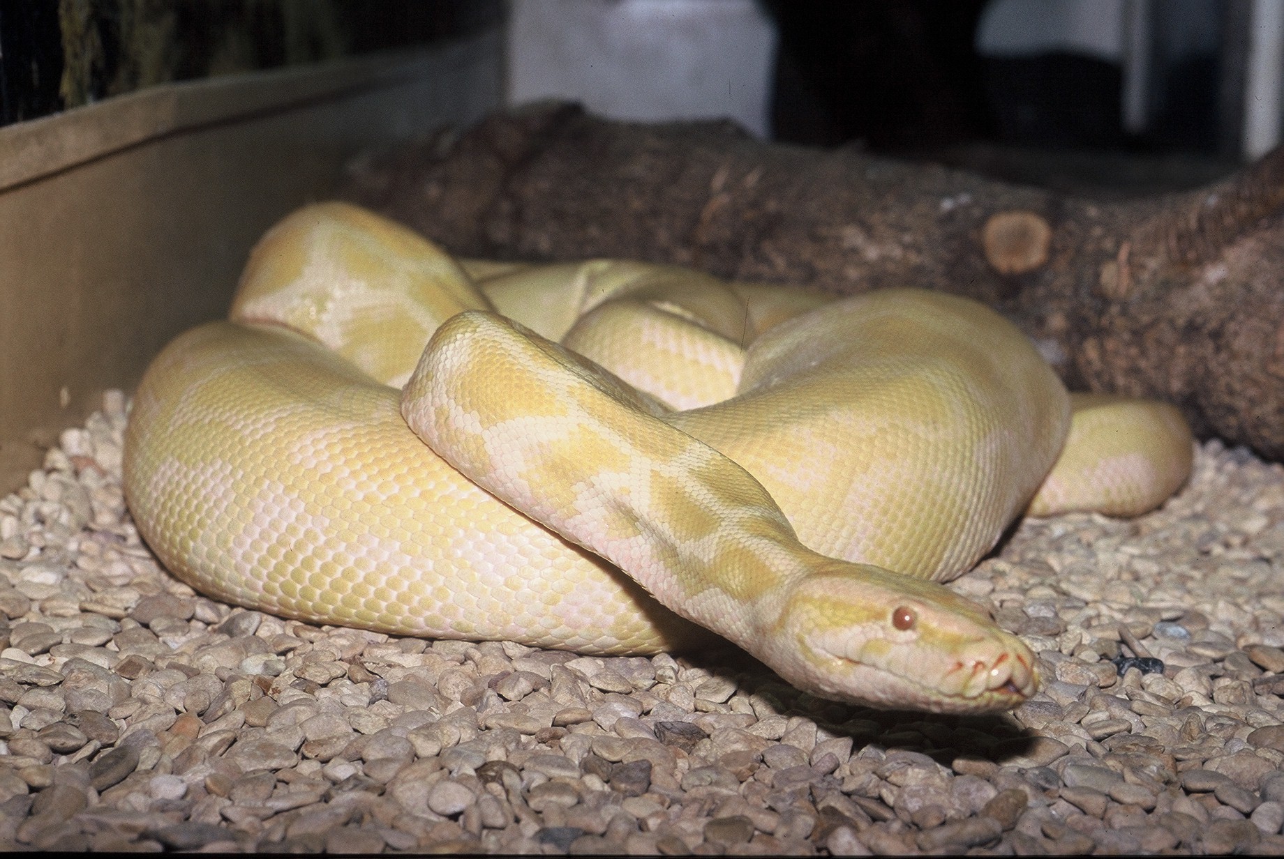 Saisissez le titre - Mode de vie et alimentation