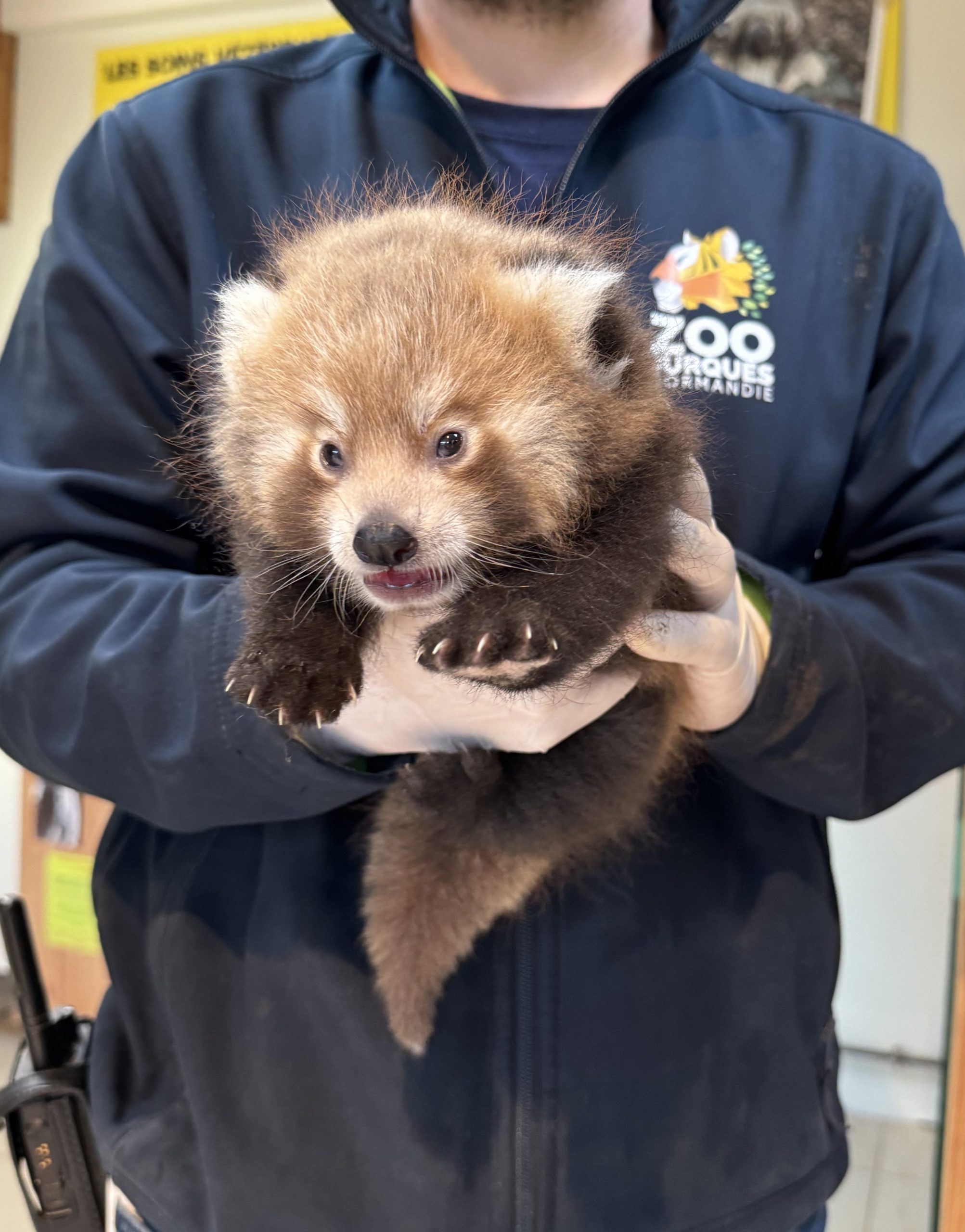 Zoo de Jurques, Normandie